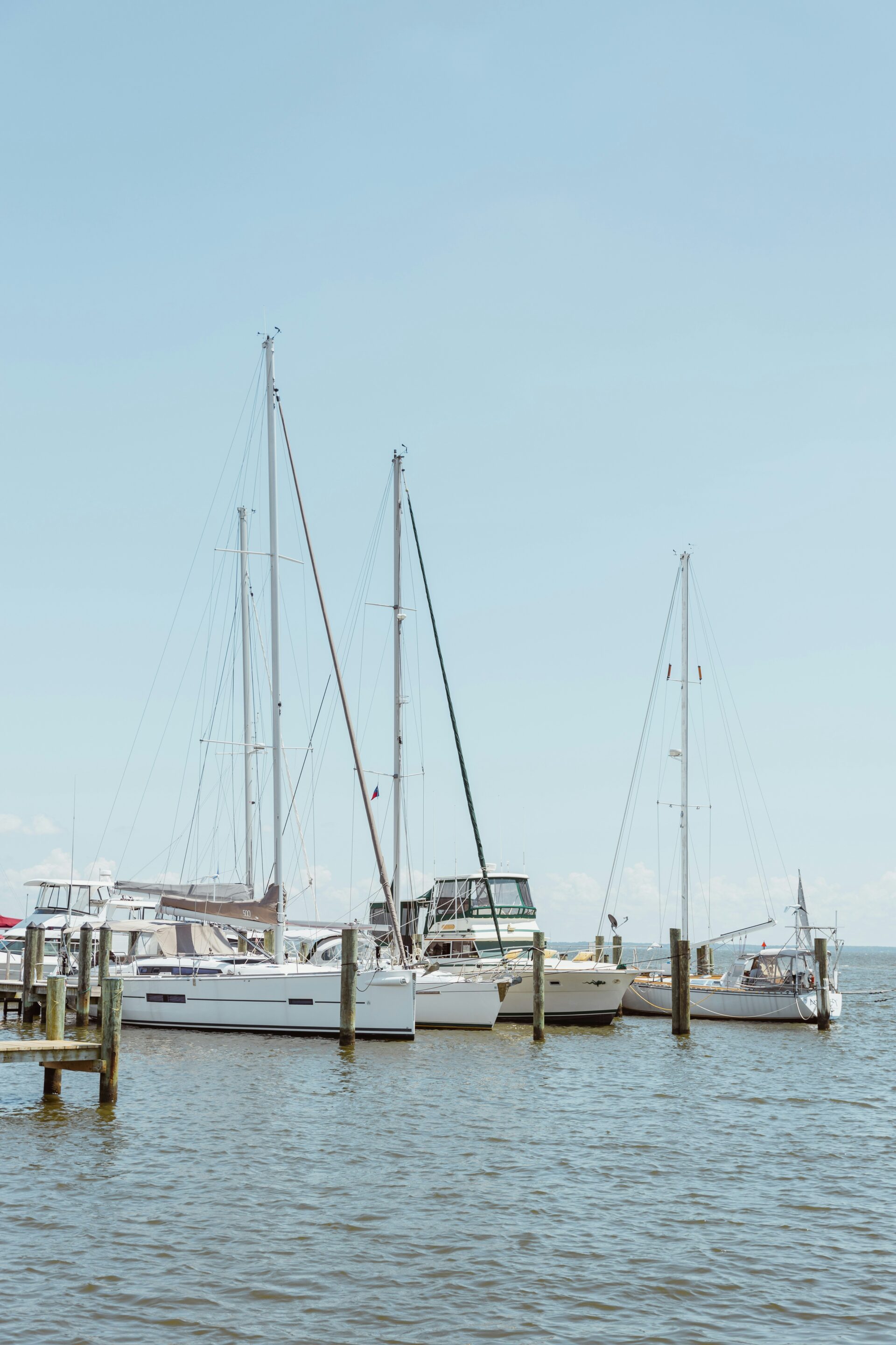 From Boat to Table: How We Serve the Freshest Seafood in Virginia Beach ...